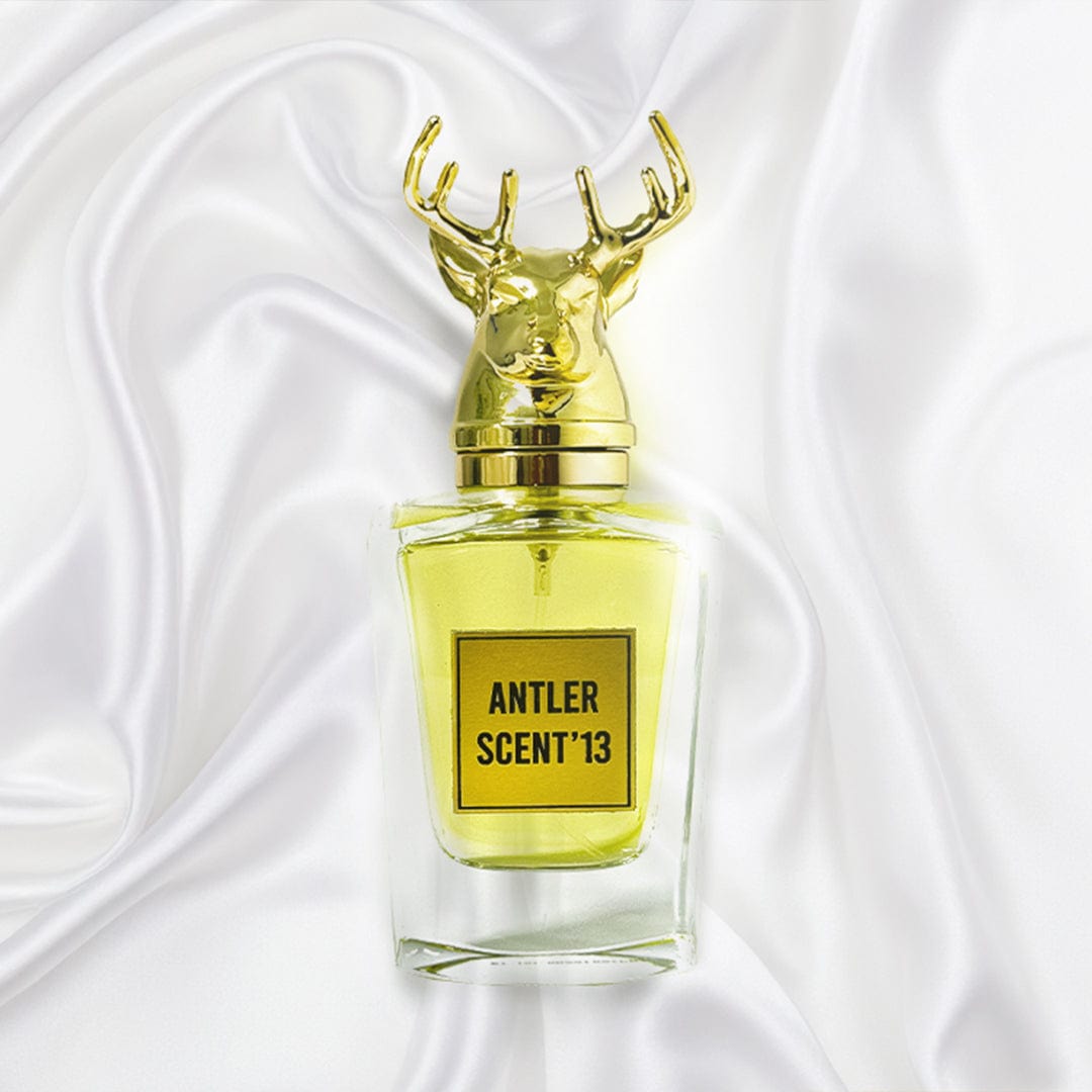 LONG LASTING NON ALCOHOLIC PERFUMES